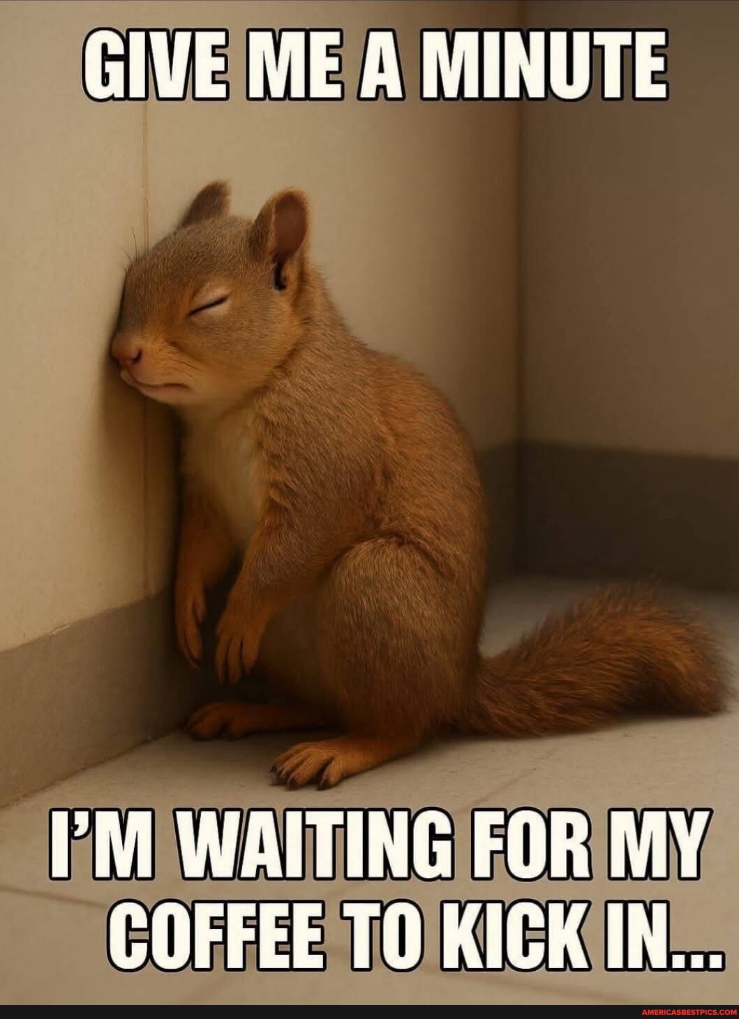 GIVE ME A MINUTE WAITING FOR MY COFFEE TO KICK IN... - America’s best ...