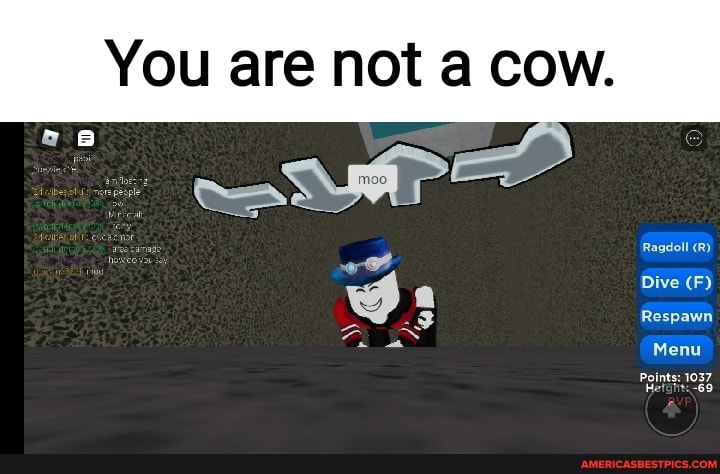 You are not a cow. Bive Menu - America’s best pics and videos