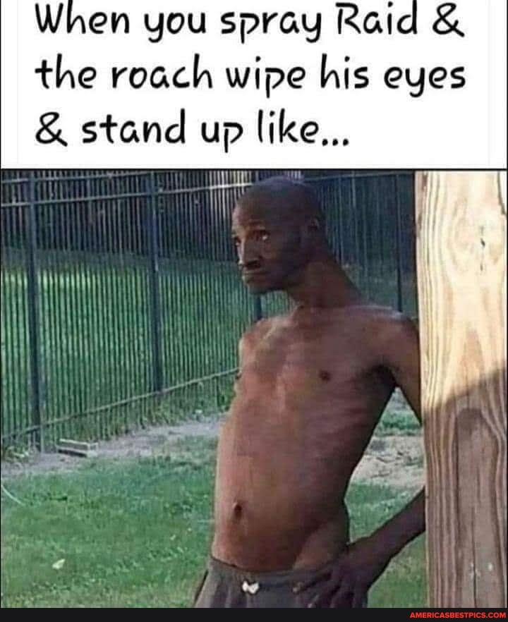 When you spray Raid the reach wipe his eyes stand up like.. - America’s ...