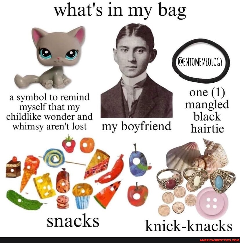What’s in your bag? Meme by our meme queen Ariel. #entomology # ...