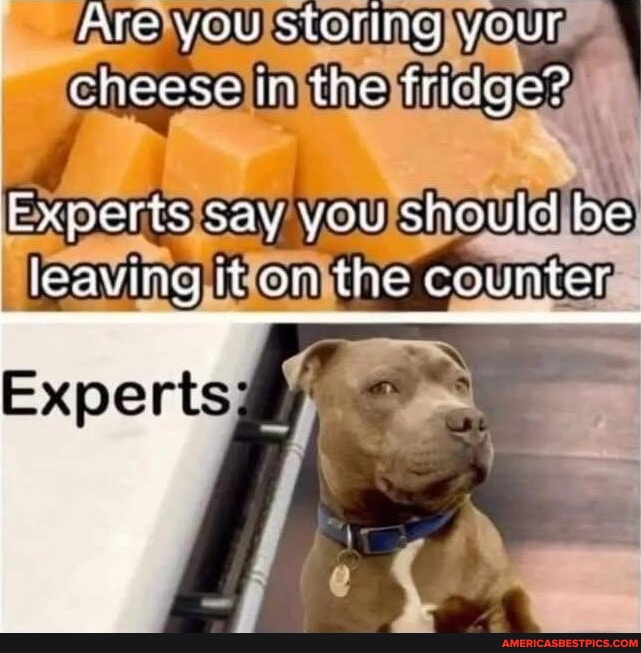 Are you storing your cheese in the tridue? Experts say you should he ...
