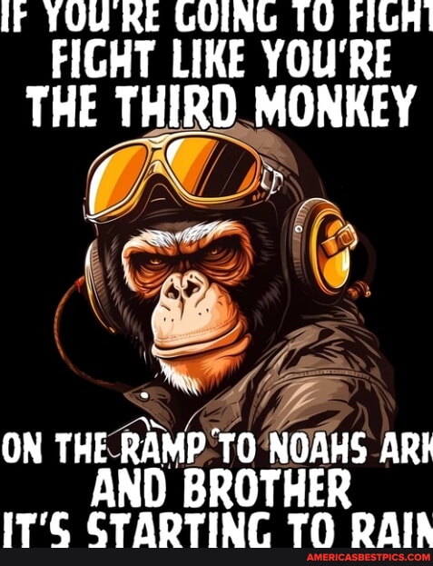 YOU RE GUING FIGHT LIKE YOU'RE THE THIRD MONKEY ON THE RAMP TO NOAHS ...
