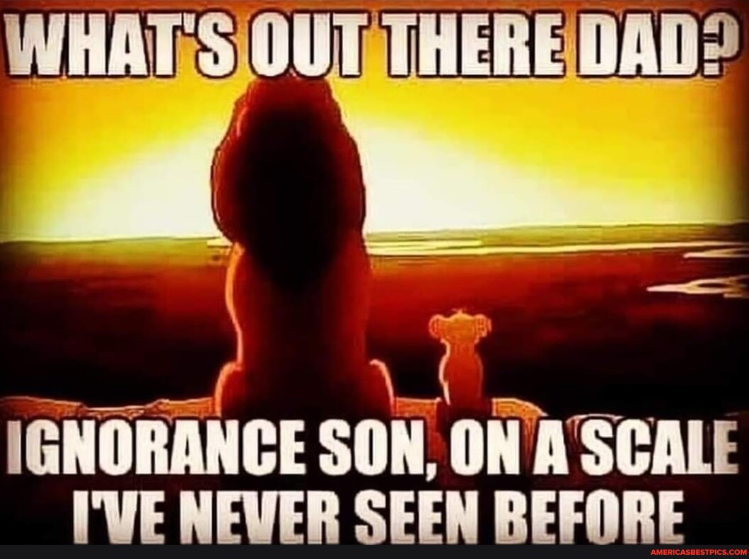 WHAT IGNORANCE SON, ON A'SCALE VE NEVER SEEN BEFORE - America’s best ...