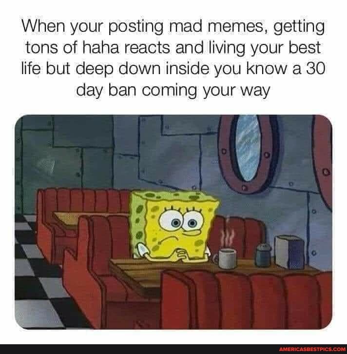 When your posting mad memes, getting tons of haha reacts and living ...