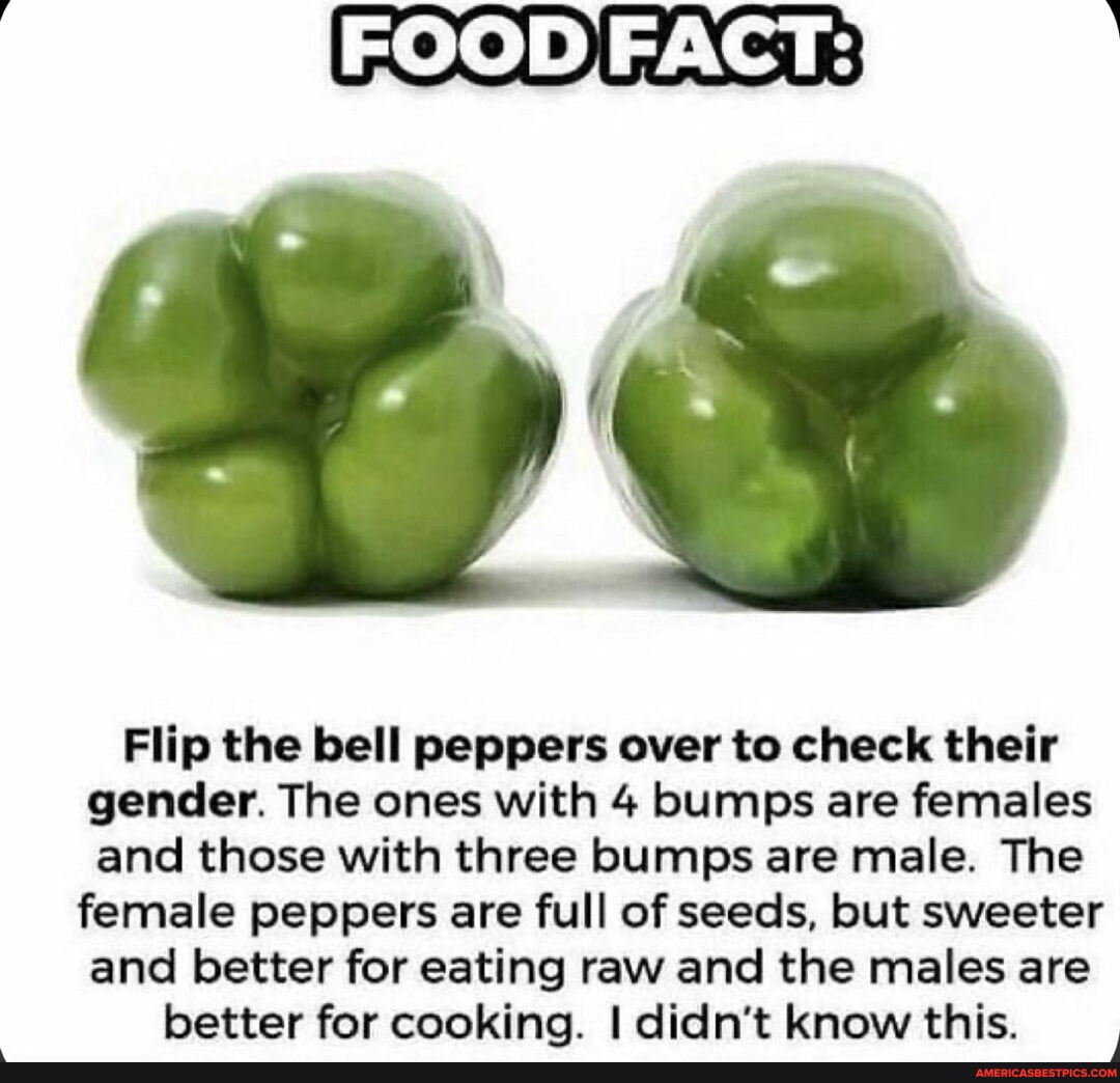 FOOD FACT: Flip the bell peppers over to check their gender. The ones ...