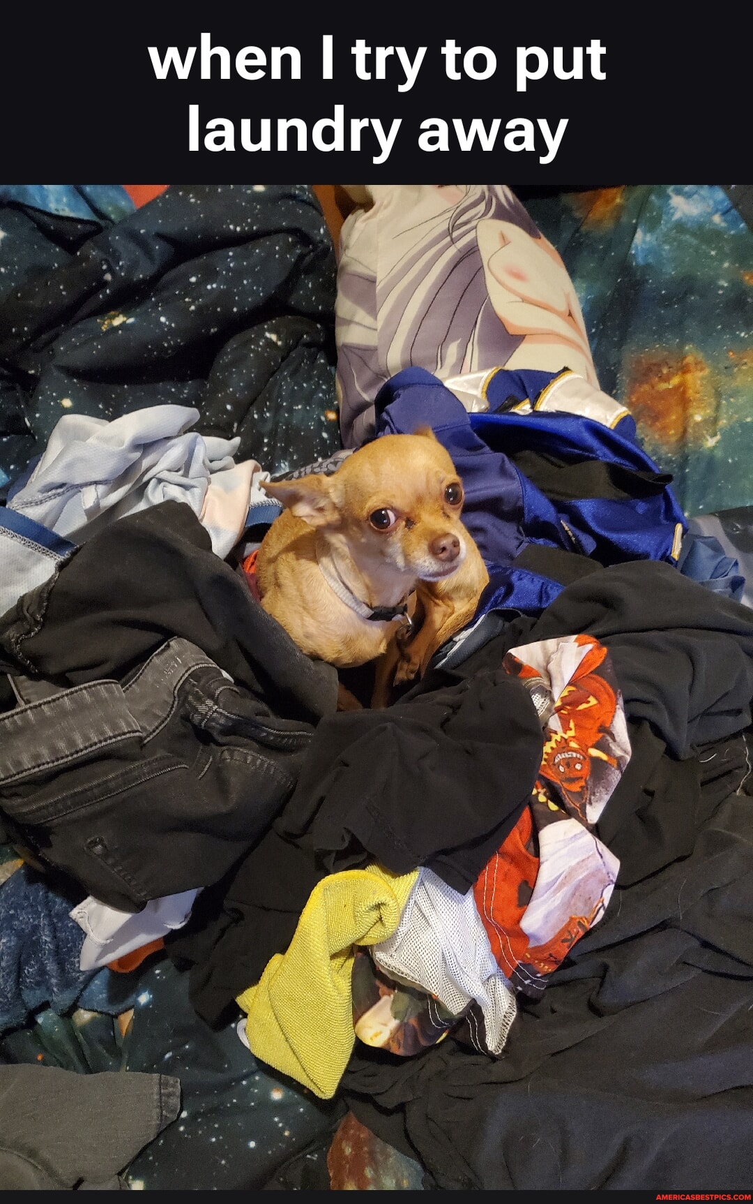 When I try to put laundry away - America’s best pics and videos