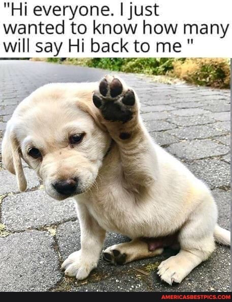 Any just on every wanted to know how m will say Hi back to me" to ...