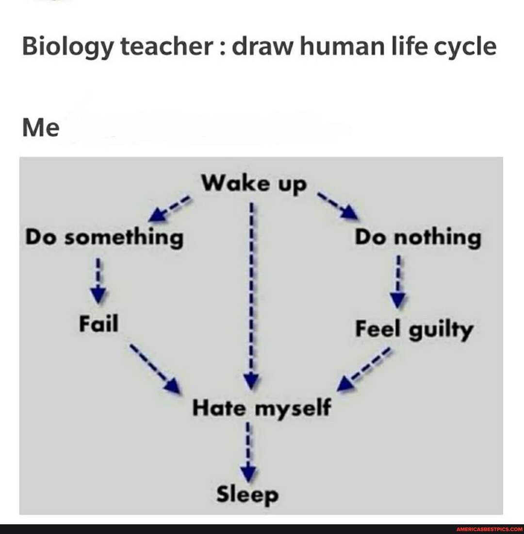 Biology teacher : draw human life cycle Me Wake up Do something Do ...