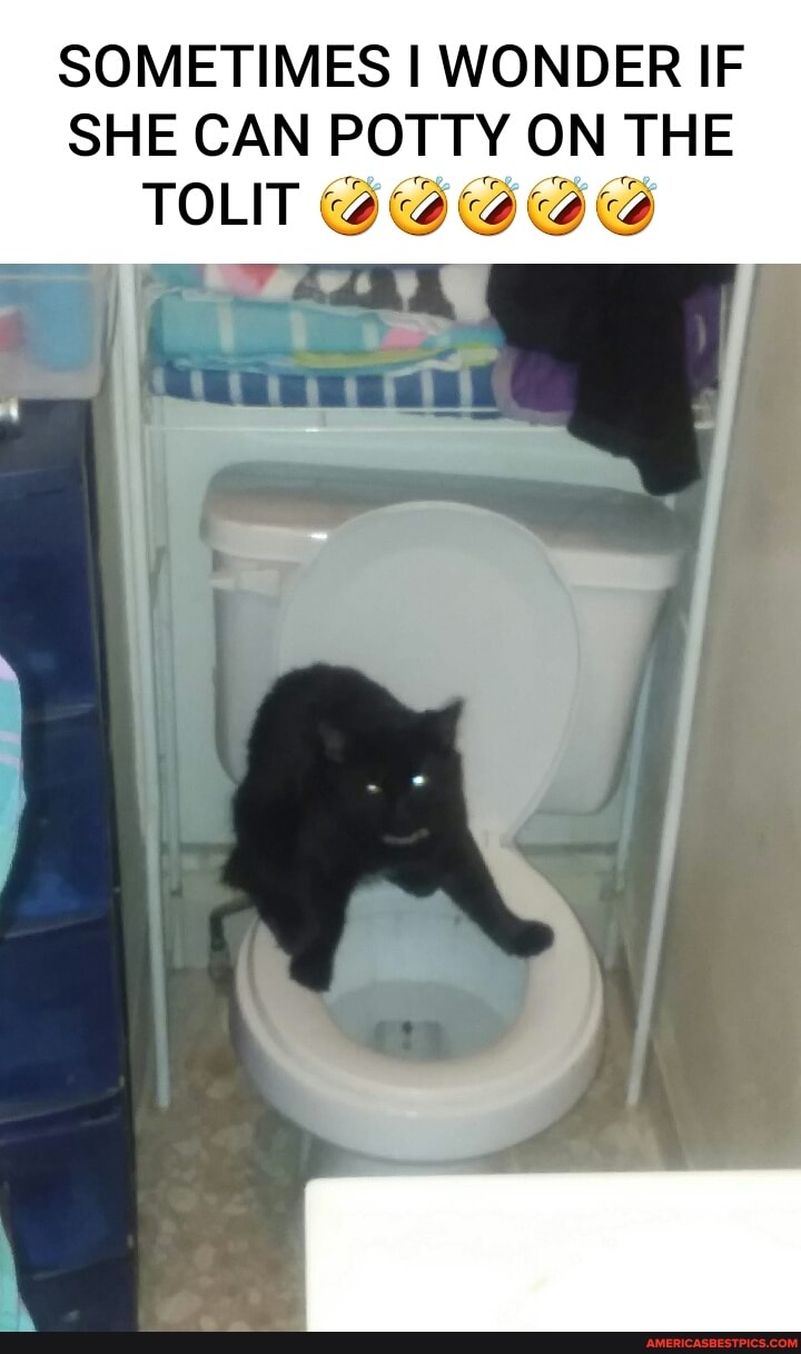SOMETIMES WONDER IF SHE CAN POTTY ON THE TOLIT - America’s best pics ...
