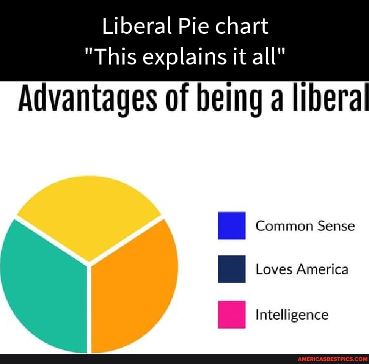 Liberal Pie chart "This explains it all" Advantages of being a liberal ...