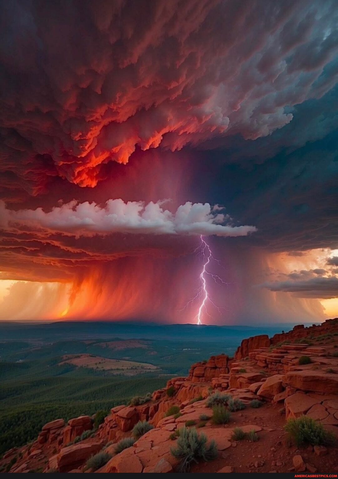 America’s best pics and videos - the best memes, video, gifs and funny ...