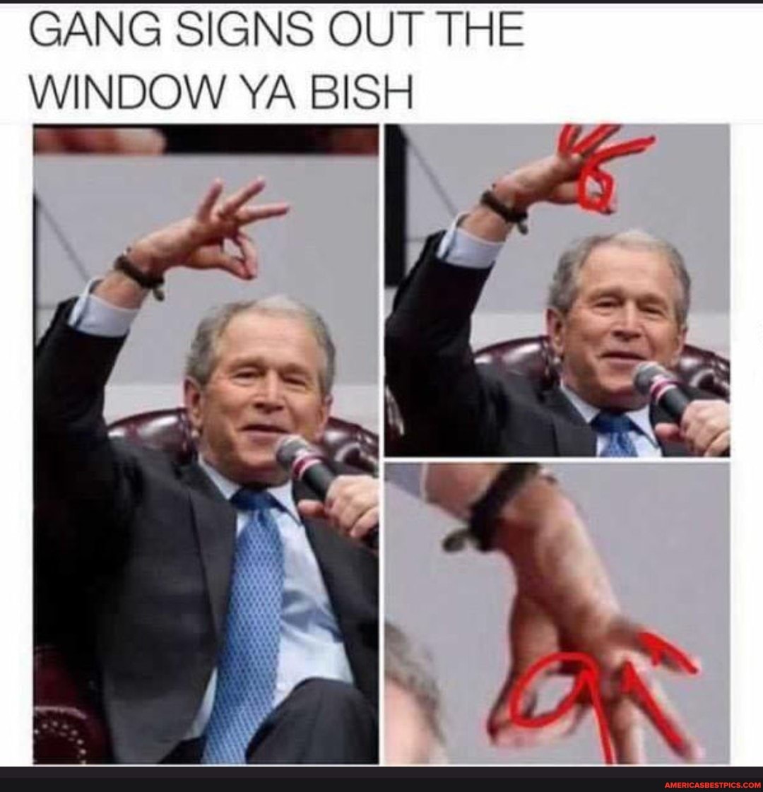 GANG SIGNS OUT THE WINDOW YA BIS - America’s best pics and videos
