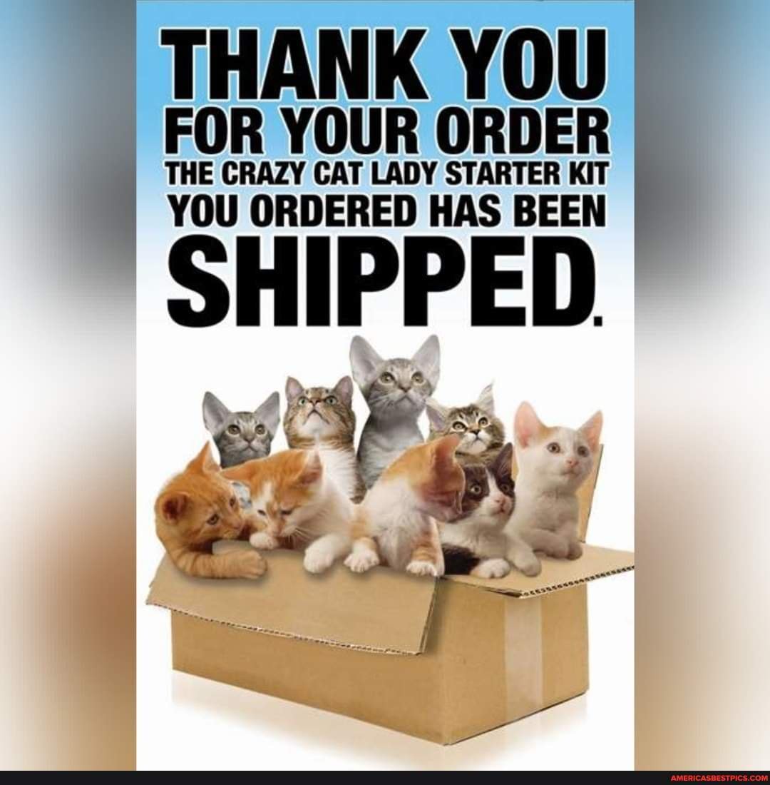 THANK YOU FOR YOUR CAT ORDER LADY STARTER KIT CRAZY CAT LADY STARTER ...