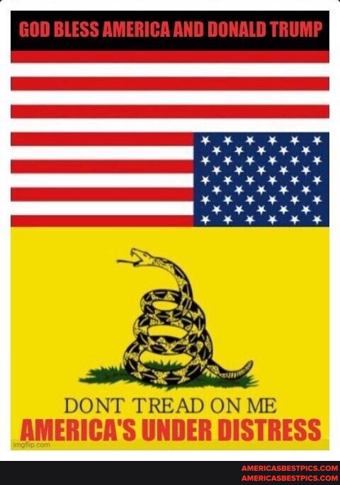 GOD BLESS AMERICA AND DONALD TRUMP DONT TREAD ON ME AMERICA'S UNDER ...