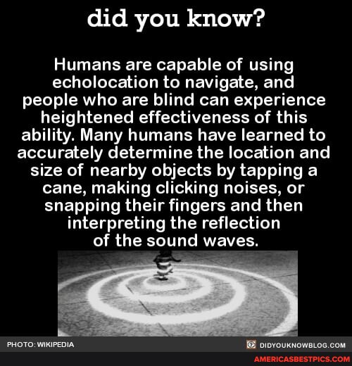 Did you know? Humans are capable of using echolocation to navigate, and ...