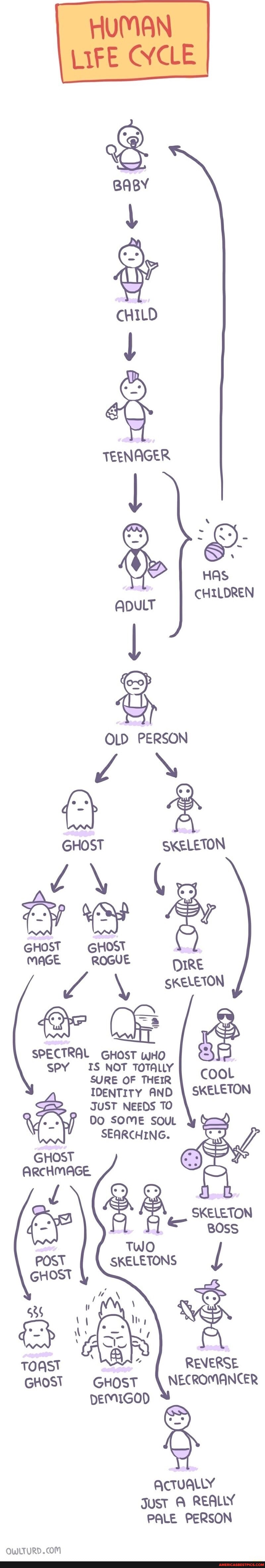 HUMAN LIFE CYCLE BABY CHILD TEENAGER HAS CHILDREN ADULT GHOST ty OLD ...