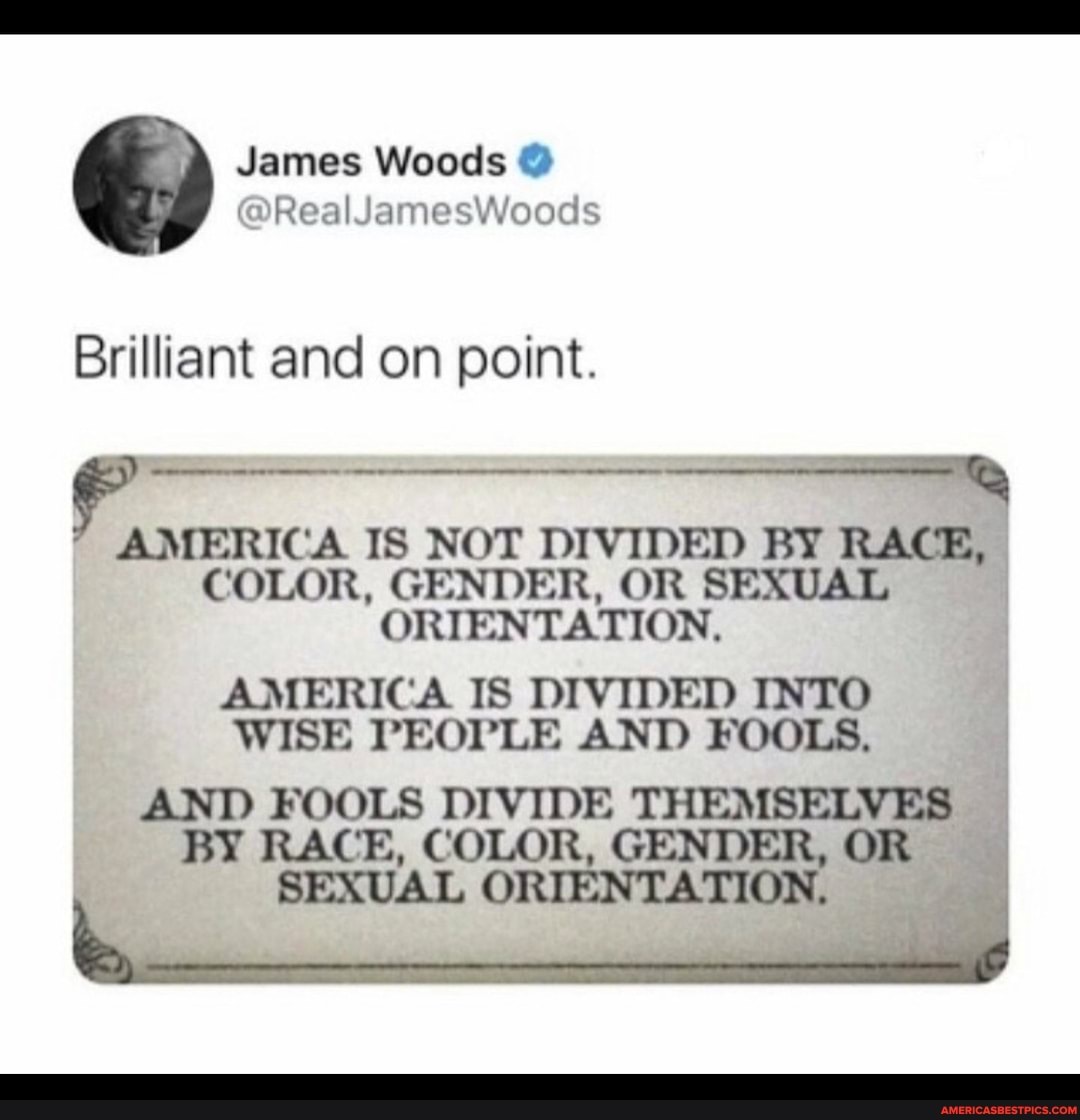James Woods Brilliant and on point. AMERICA IS NOT DIVIDED BY RACE ...