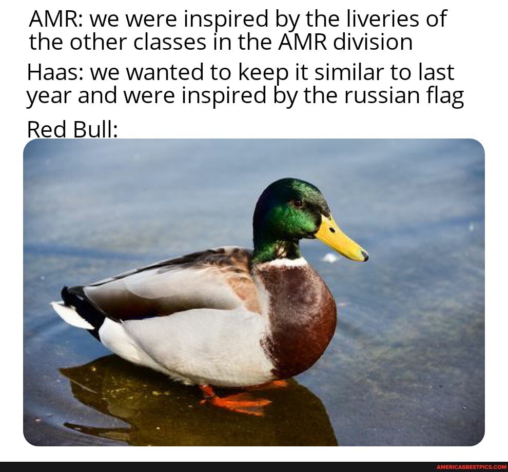 AMR: we were inspired by the liveries of the other classes in the AMR ...