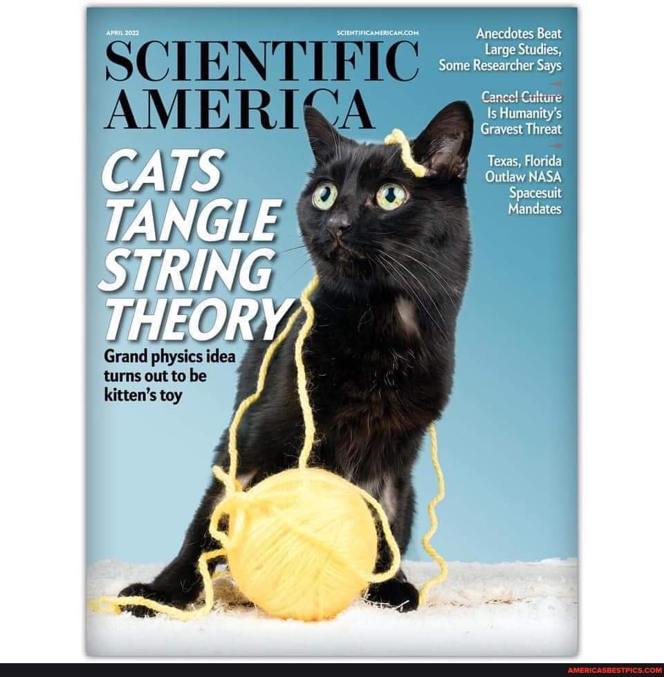 Some Researcher Says al CATS STRING Grand physics idea turns out to ...