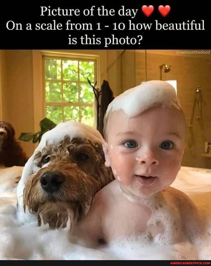 Picture of the day On a scale from 1 - 10 how beautiful is this photo ...