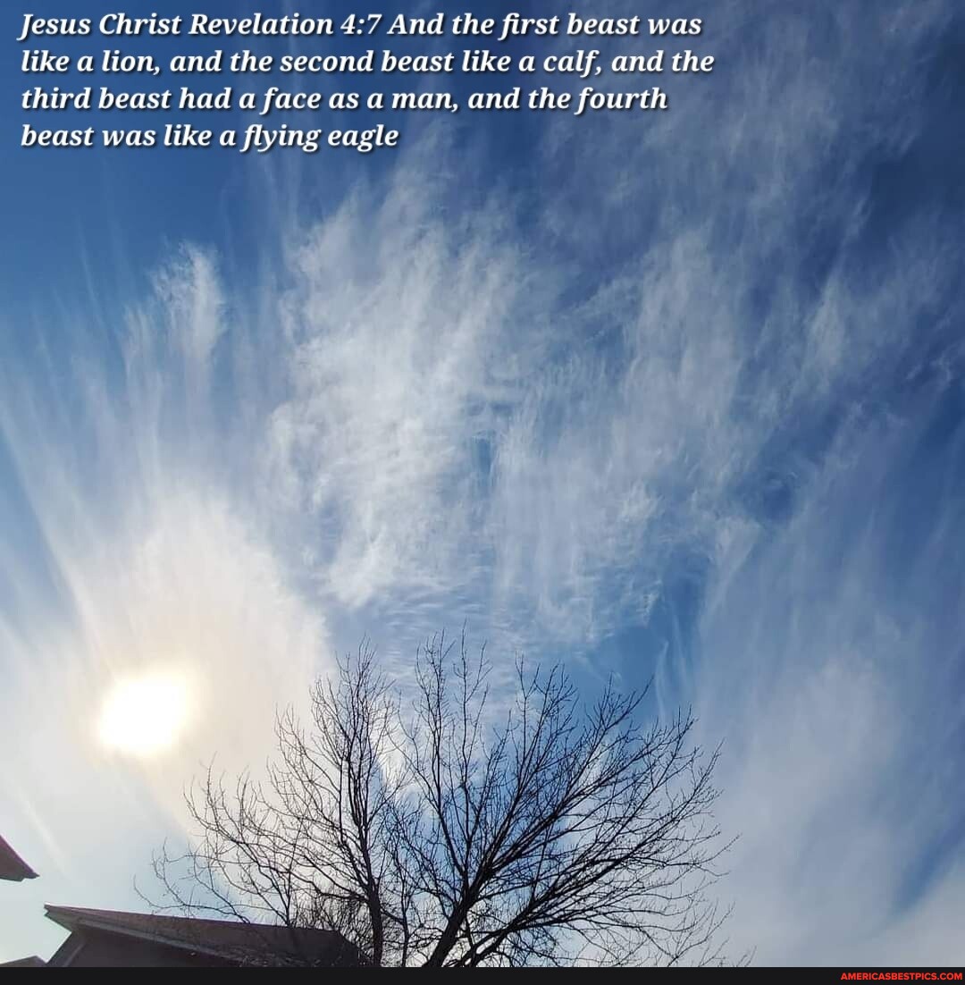 Jesus Christ Revelation And the first beast was like a lion, and the ...