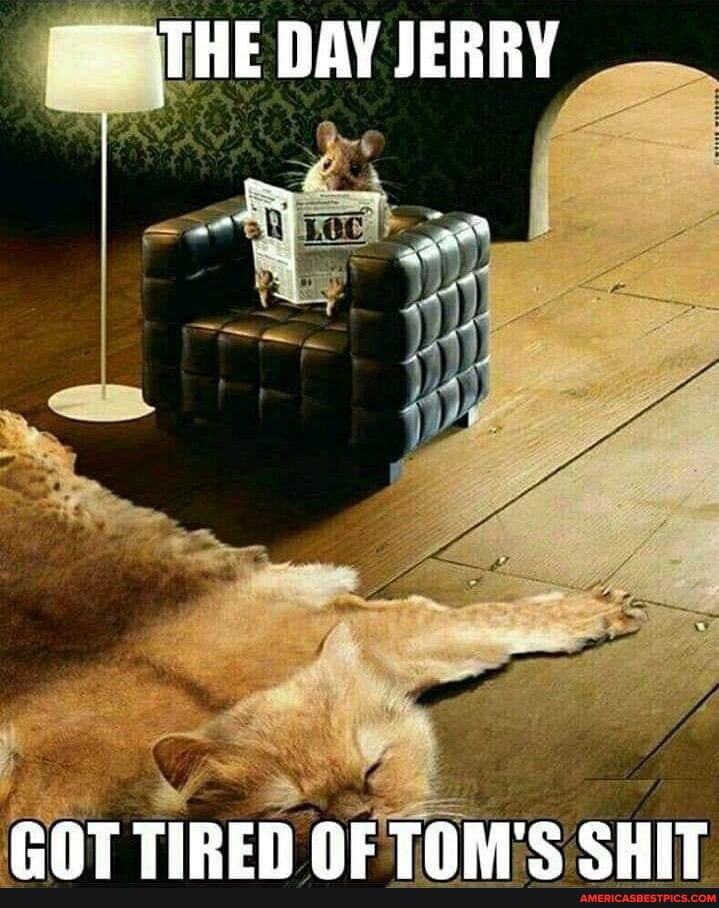 DAY JERRY GOT TIRED OF TOM'S SHIT - America’s best pics and videos