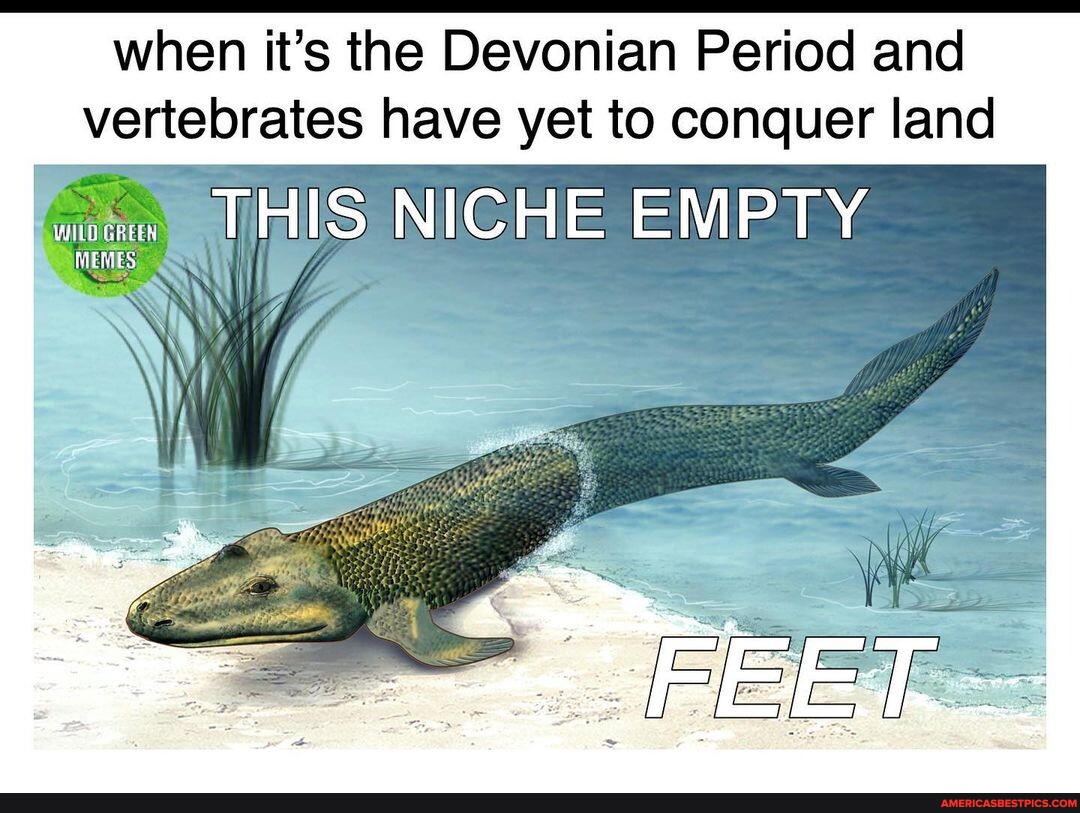 Happy Fossil Friday! What’s your favorite prehistoric creature? Meme by ...